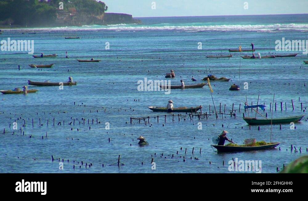 Old techniques Stock Videos & Footage - HD and 4K Video Clips - Alamy