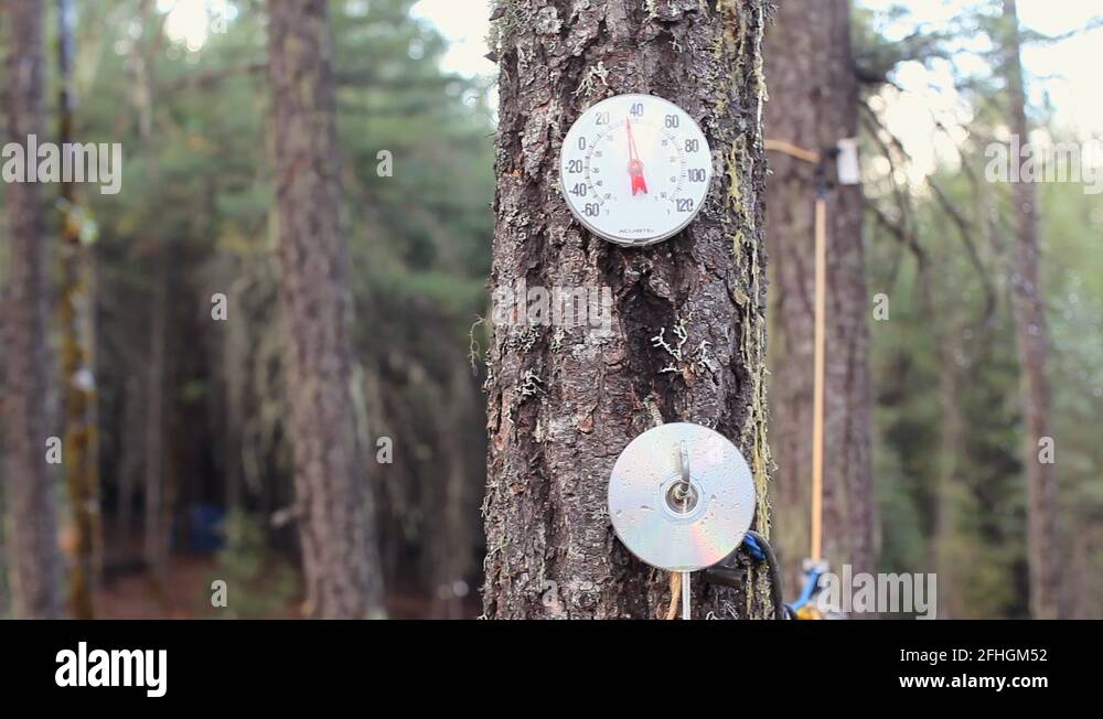 The tree of science Stock Videos & Footage - HD and 4K Video Clips - Alamy