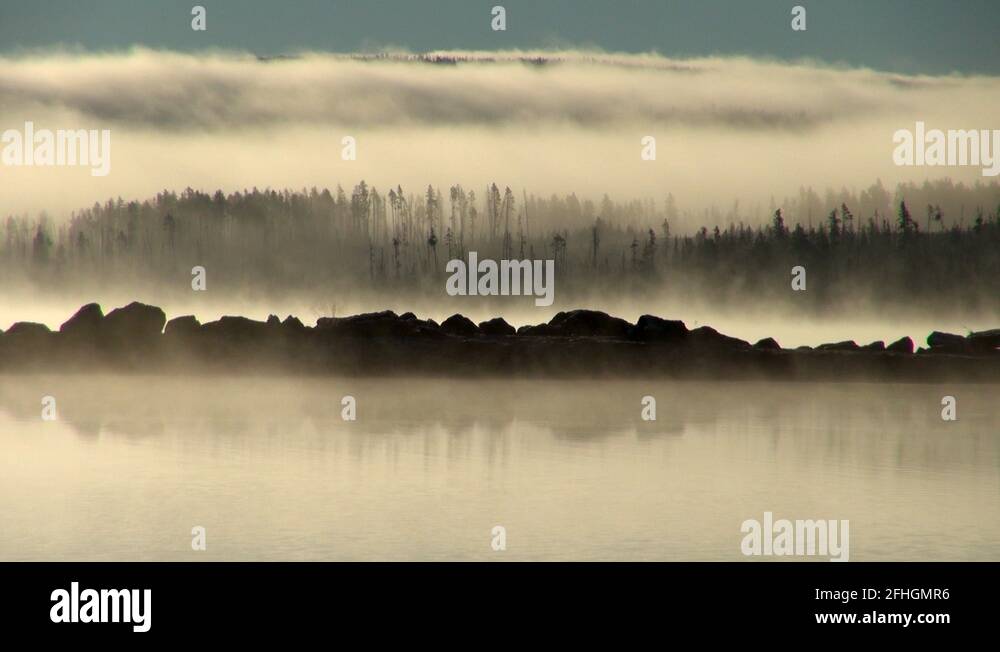 Layers of Fog, Trees Silhouettes and Rocks Stock Video Footage - Alamy