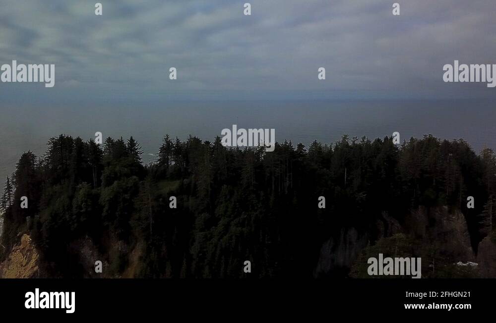 Sea greenery Stock Videos & Footage - HD and 4K Video Clips - Alamy