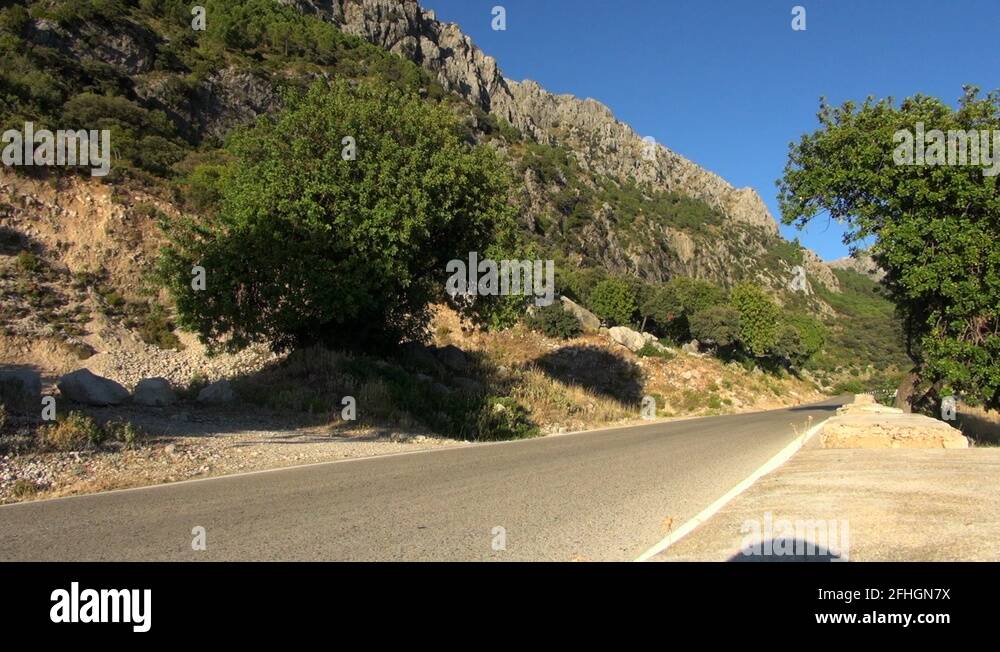 Past trees Stock Videos & Footage - HD and 4K Video Clips - Alamy