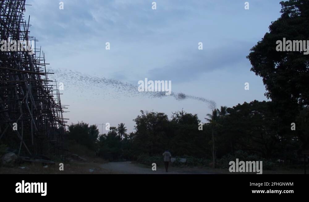 Zig zag line of people Stock Videos & Footage - HD and 4K Video Clips ...