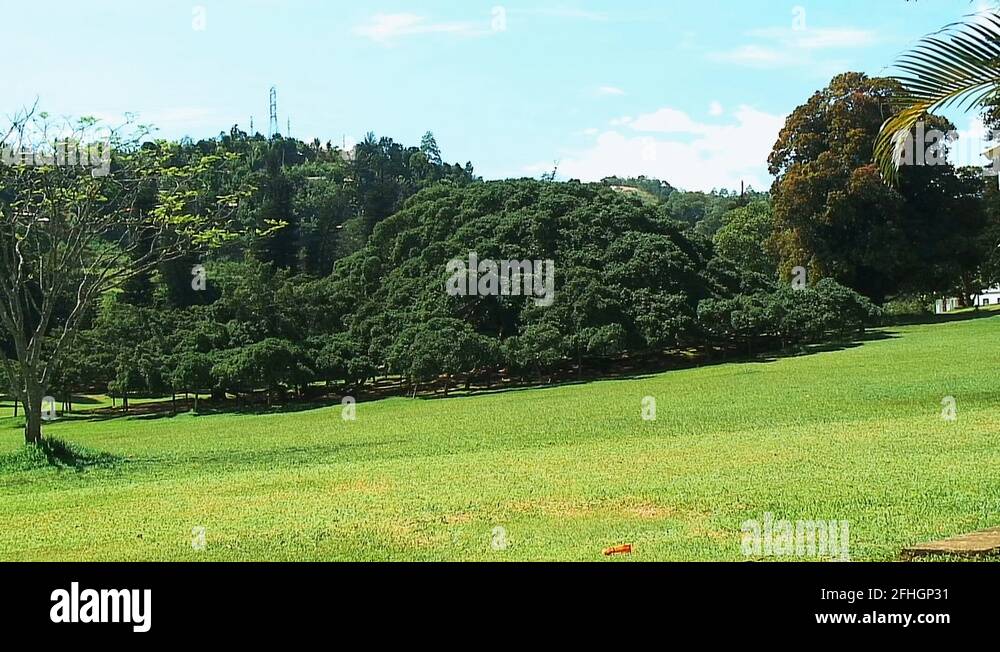 Greenery of sri lanka Stock Videos & Footage - HD and 4K Video Clips ...