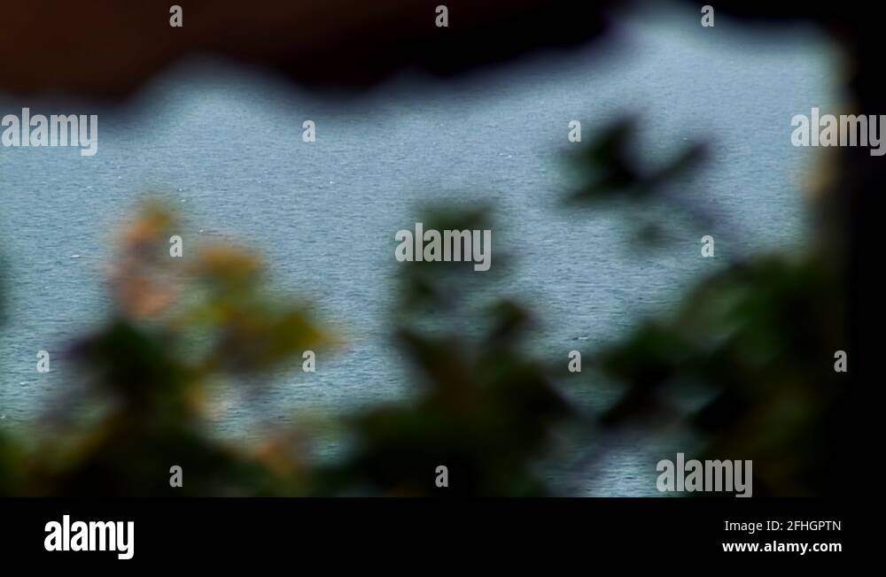 Old armory building Stock Videos & Footage - HD and 4K Video Clips - Alamy