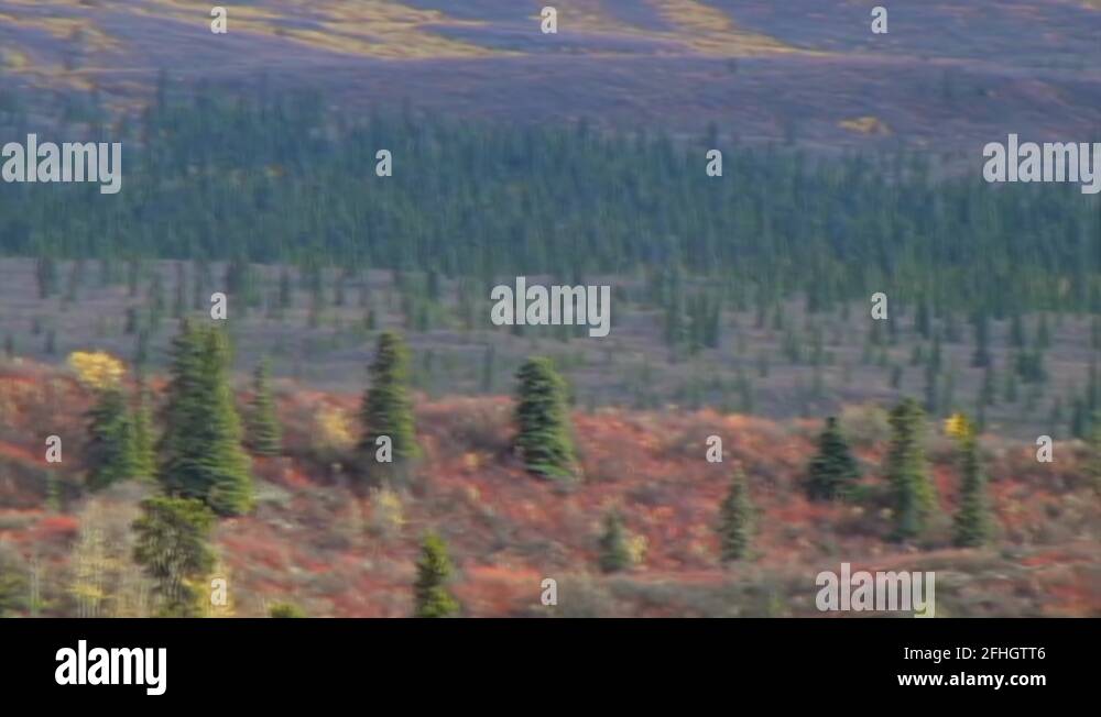 Bend oil pipeline Stock Videos & Footage - HD and 4K Video Clips - Alamy