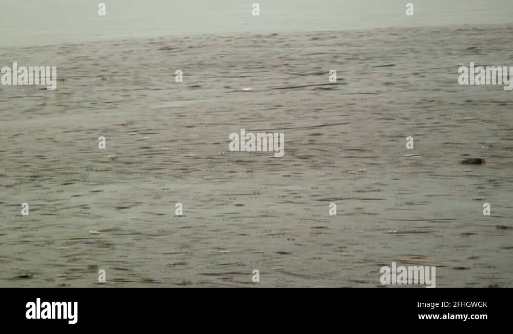 Debris in river Stock Videos & Footage - HD and 4K Video Clips - Alamy