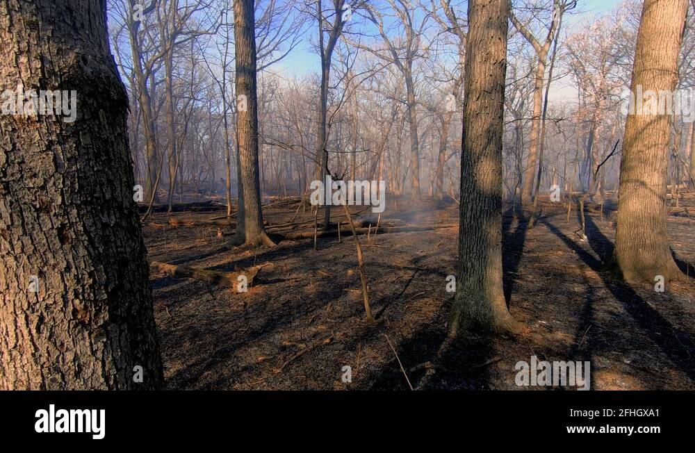 Temperature controlled environment Stock Videos & Footage - HD and 4K ...