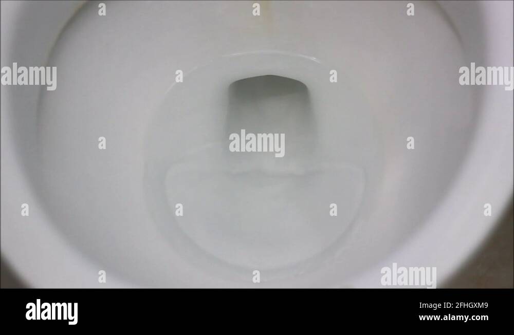 Toilet flush water Stock Videos & Footage - HD and 4K Video Clips - Alamy