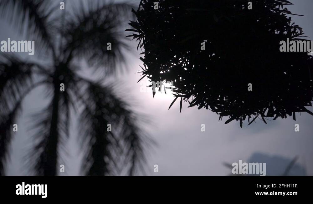 Front of the setting sun Stock Videos & Footage - HD and 4K Video Clips ...