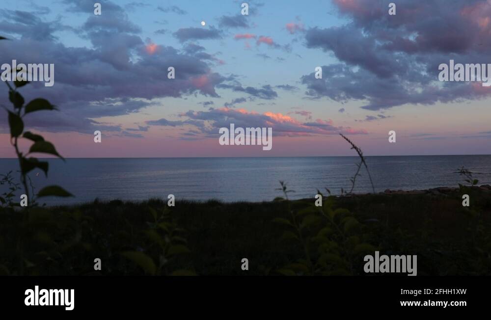 Overlooking ocean Stock Videos & Footage - HD and 4K Video Clips - Alamy