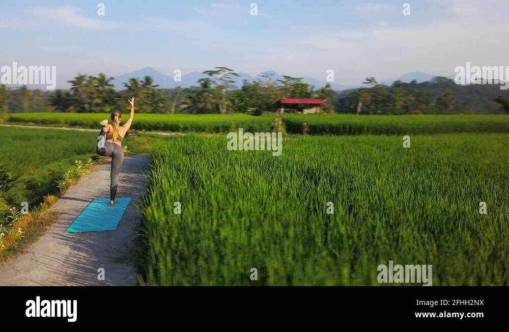 Girl standing rice field Stock Videos & Footage - HD and 4K Video Clips ...