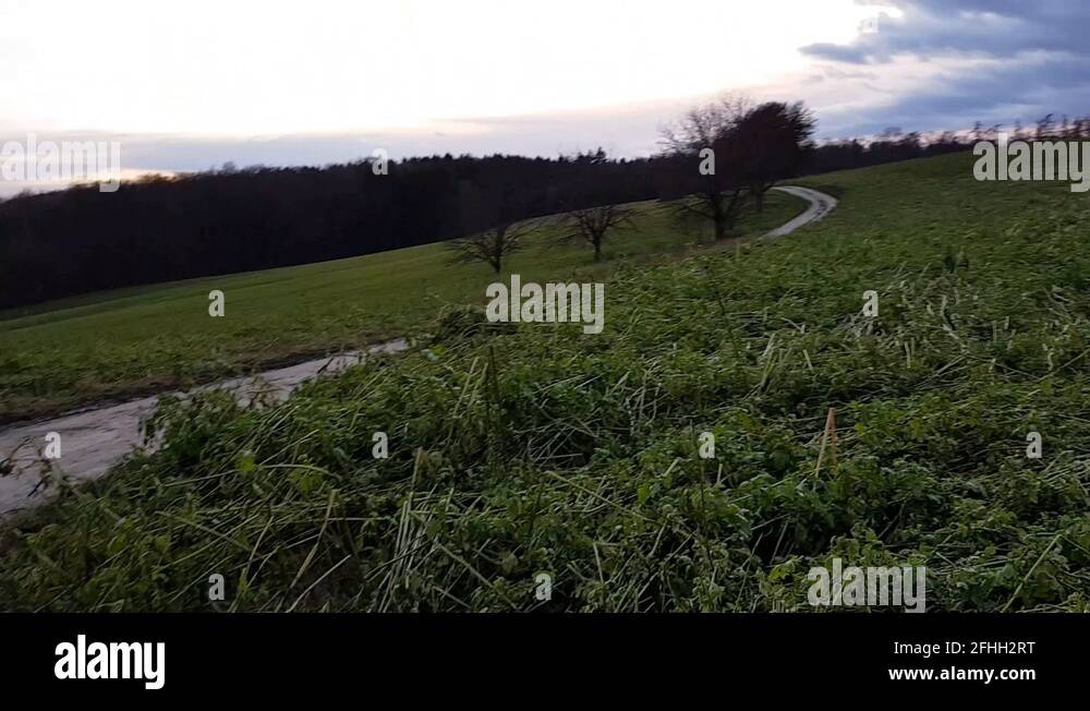 Leimen Stock Videos & Footage - HD and 4K Video Clips - Alamy