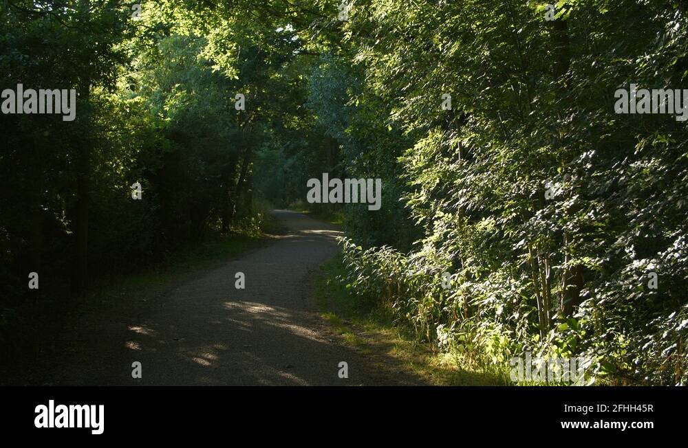 Nature reserve path Stock Videos & Footage - HD and 4K Video Clips - Alamy