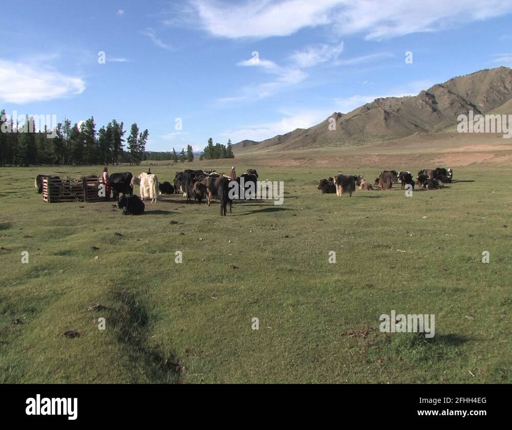 Rural life Stock Videos & Footage - HD and 4K Video Clips - Alamy