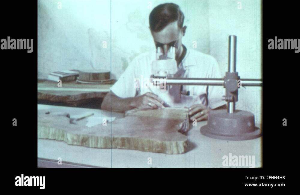 Bristlecone pine rings Stock Videos & Footage - HD and 4K Video Clips ...
