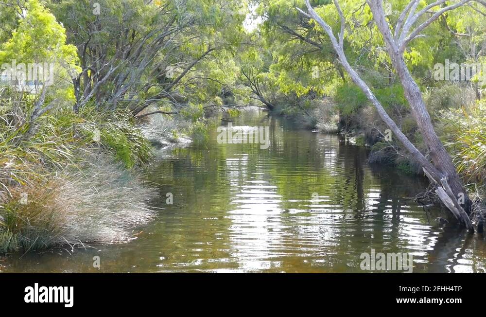 West australian bush Stock Videos & Footage - HD and 4K Video Clips - Alamy