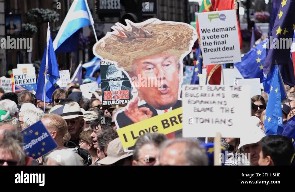 Donald trump eu flag Stock Videos & Footage - HD and 4K Video Clips - Alamy