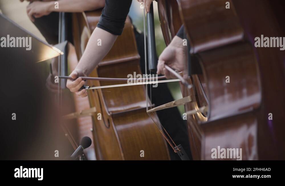 String bass bow Stock Videos & Footage - HD and 4K Video Clips - Alamy