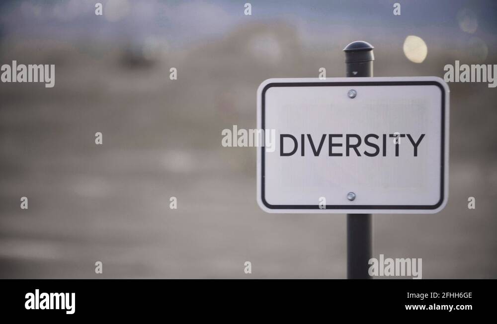 Diversity background Stock Videos & Footage - HD and 4K Video Clips - Alamy