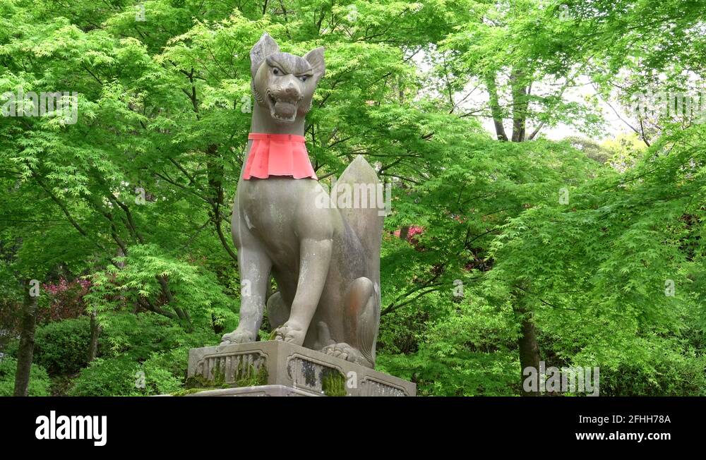 Inari fox statue Stock Videos & Footage - HD and 4K Video Clips - Alamy