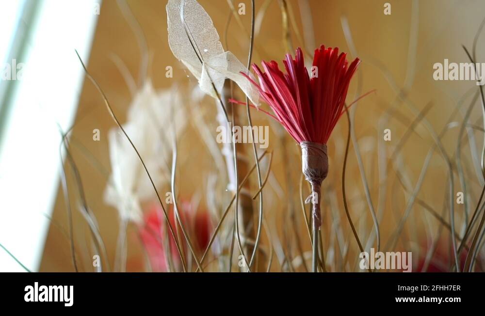 Beije Stock Videos & Footage - HD and 4K Video Clips - Alamy