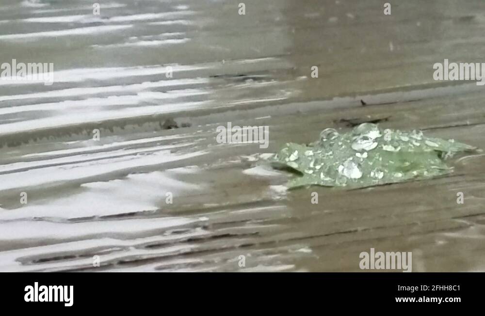 Wet boards Stock Videos & Footage - HD and 4K Video Clips - Alamy