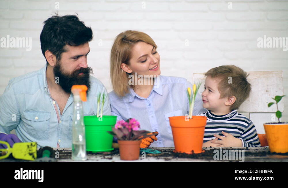 The family communicates and plant flowers in pots. Concept of gardening ...