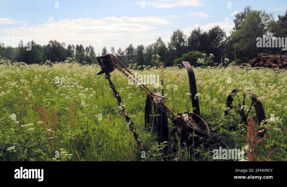 Hay cutting machine Stock Videos & Footage - HD and 4K Video Clips - Alamy