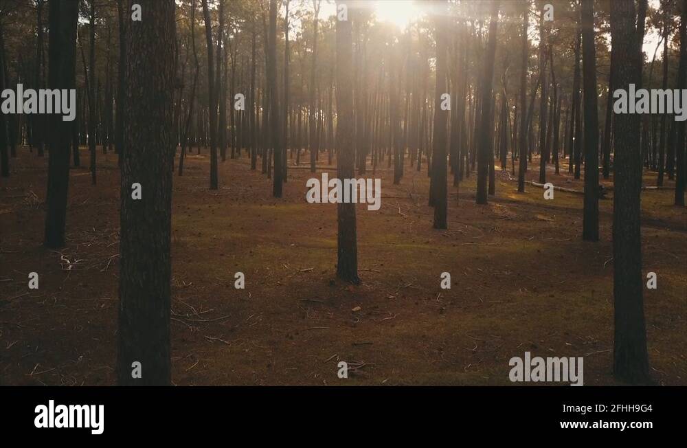 Sunrise set Stock Videos & Footage - HD and 4K Video Clips - Alamy