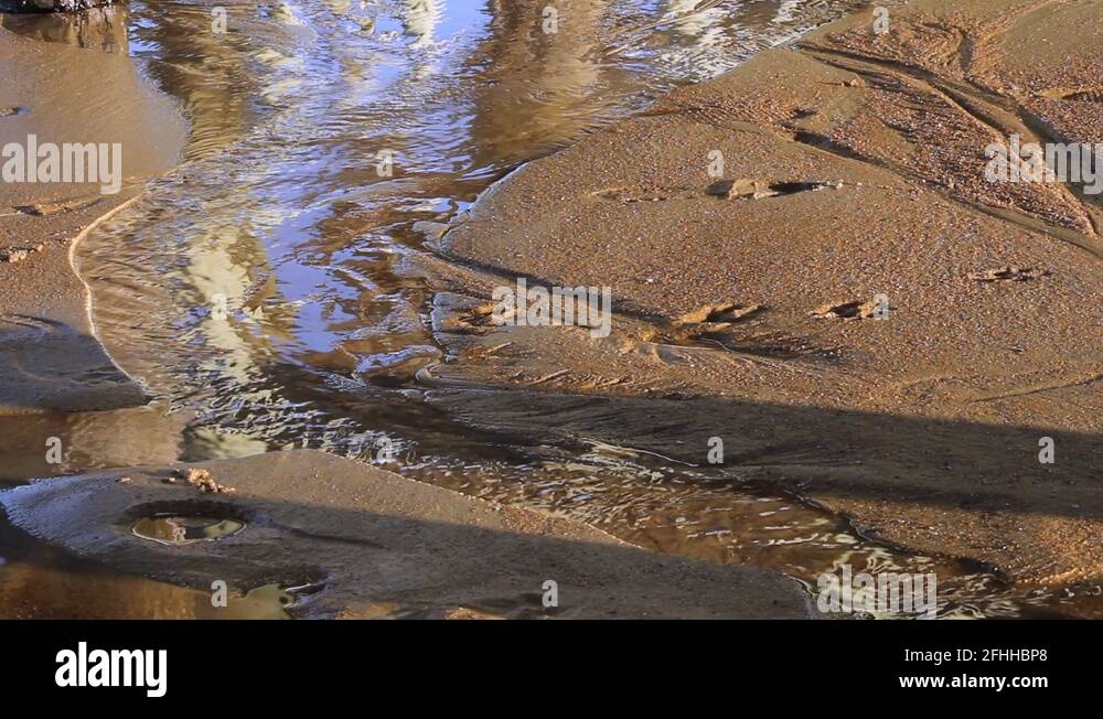Water stream on beach Stock Videos & Footage - HD and 4K Video Clips ...
