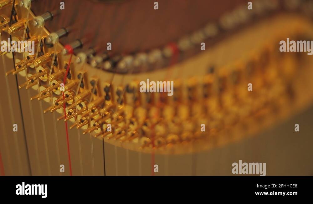 Harp rack Stock Videos & Footage - HD and 4K Video Clips - Alamy