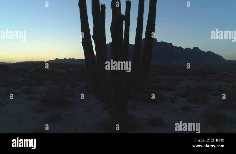 4K Aerial of Iconic Arizona Sonoran Desert with Saguaro Cacti During ...