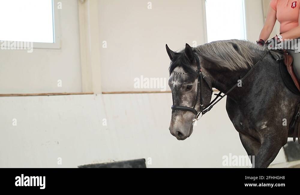 Being head Stock Videos & Footage - HD and 4K Video Clips - Alamy