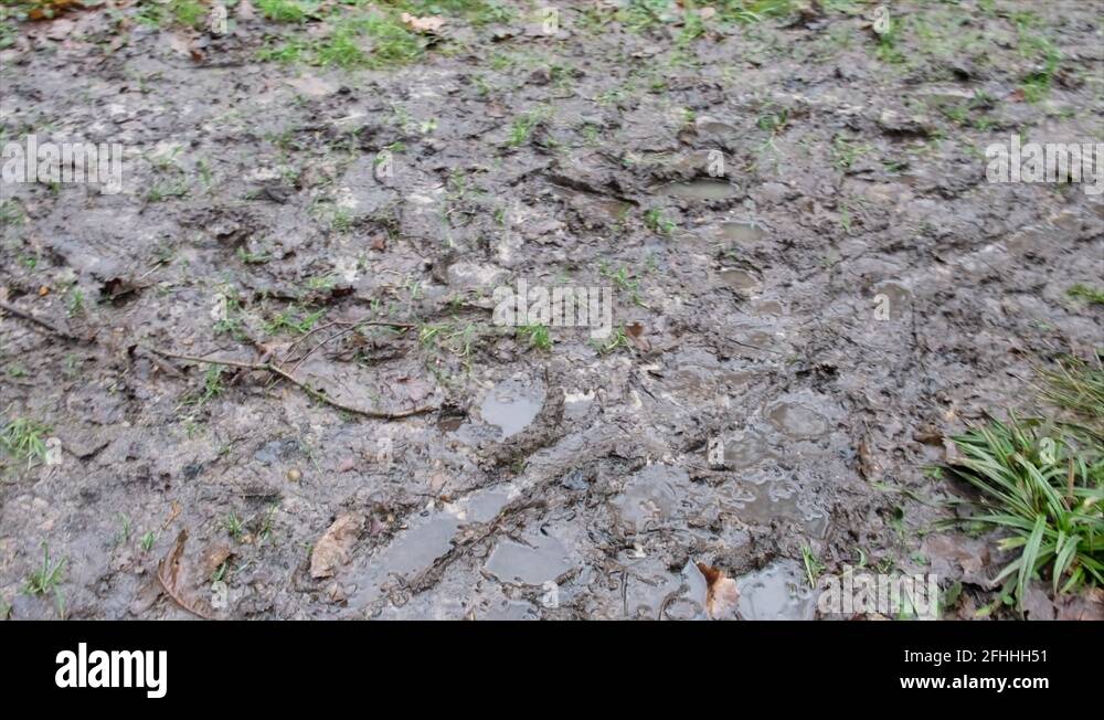 Muddy Stock Videos & Footage - HD and 4K Video Clips - Alamy