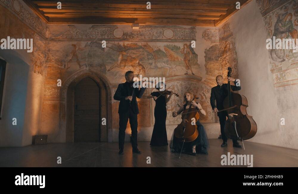 Renaissance music instrument Stock Videos & Footage - HD and 4K Video ...