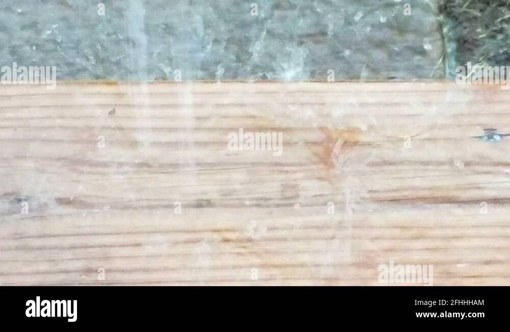 Step into summer Stock Videos & Footage - HD and 4K Video Clips - Alamy