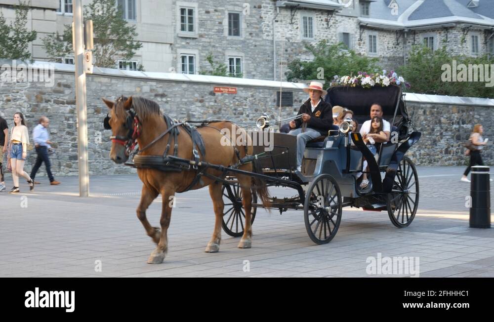 Horse drawn carriage montreal Stock Videos & Footage - HD and 4K Video ...