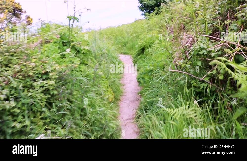 Path with grass each side Stock Videos & Footage - HD and 4K Video ...