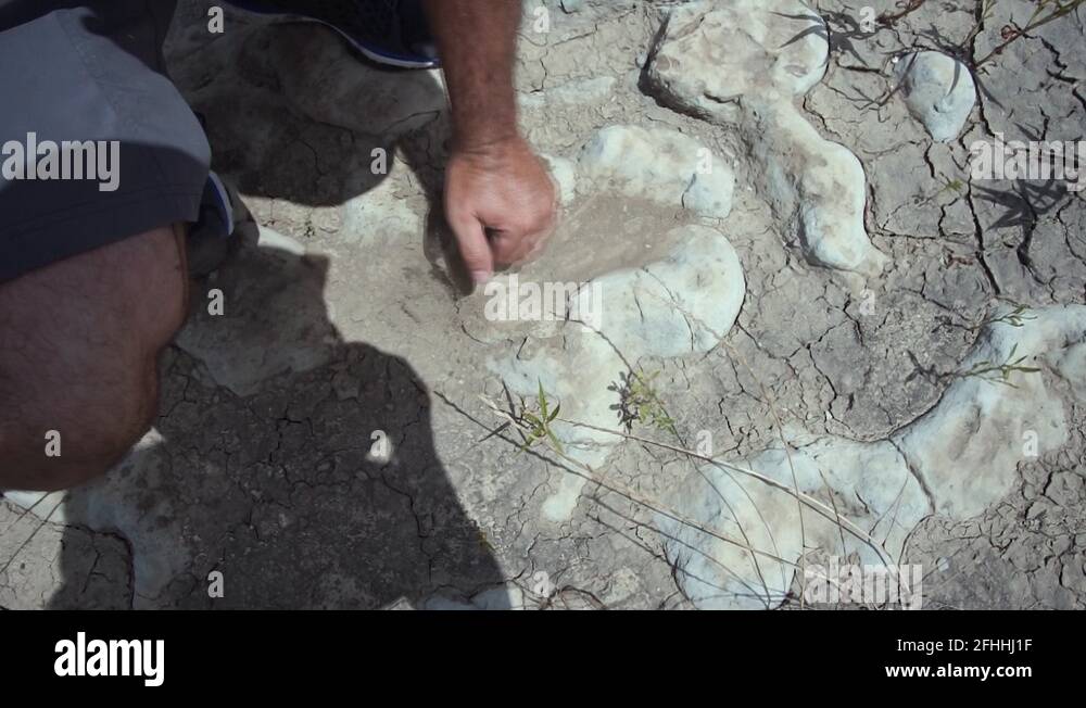 Sedimentary rocks texas Stock Videos & Footage - HD and 4K Video Clips ...