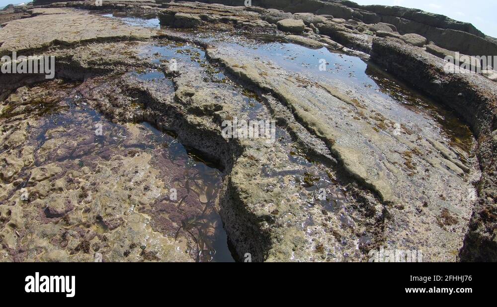 Rocky rock pools Stock Videos & Footage - HD and 4K Video Clips - Alamy