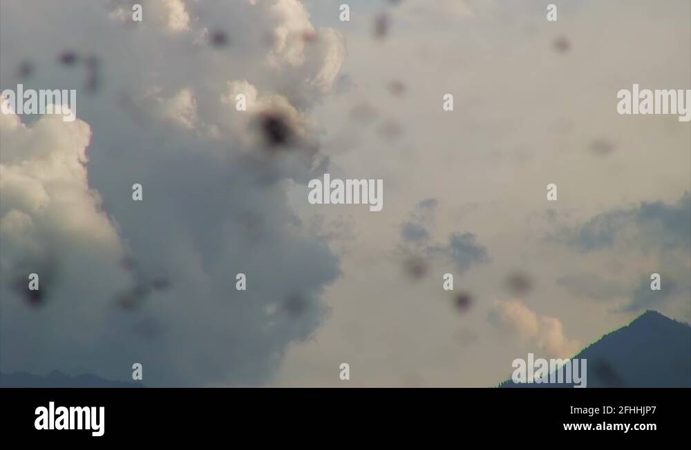 Spiders close up Stock Videos & Footage - HD and 4K Video Clips - Alamy