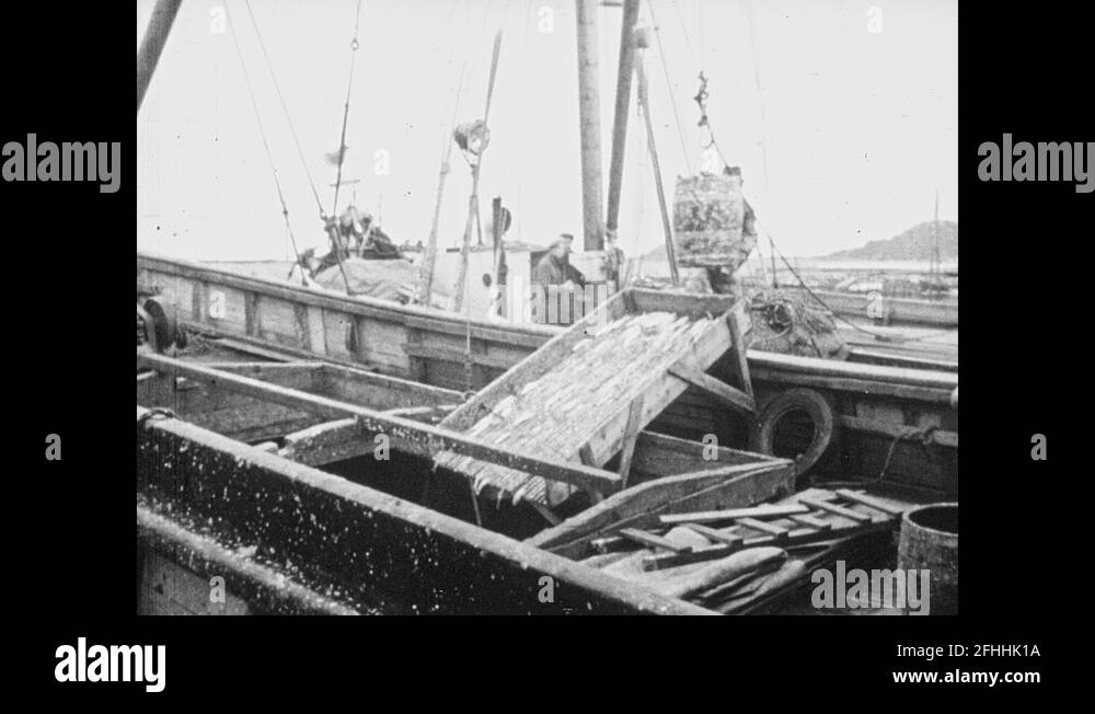 Using nets Stock Videos & Footage - HD and 4K Video Clips - Alamy