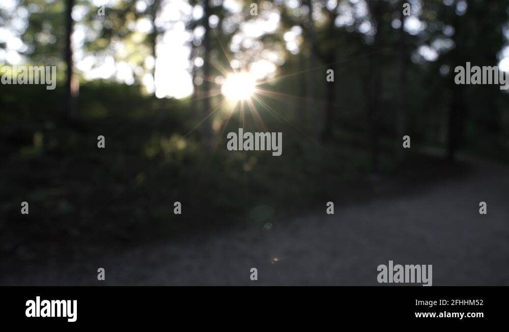 Swedish sun Stock Videos & Footage - HD and 4K Video Clips - Alamy