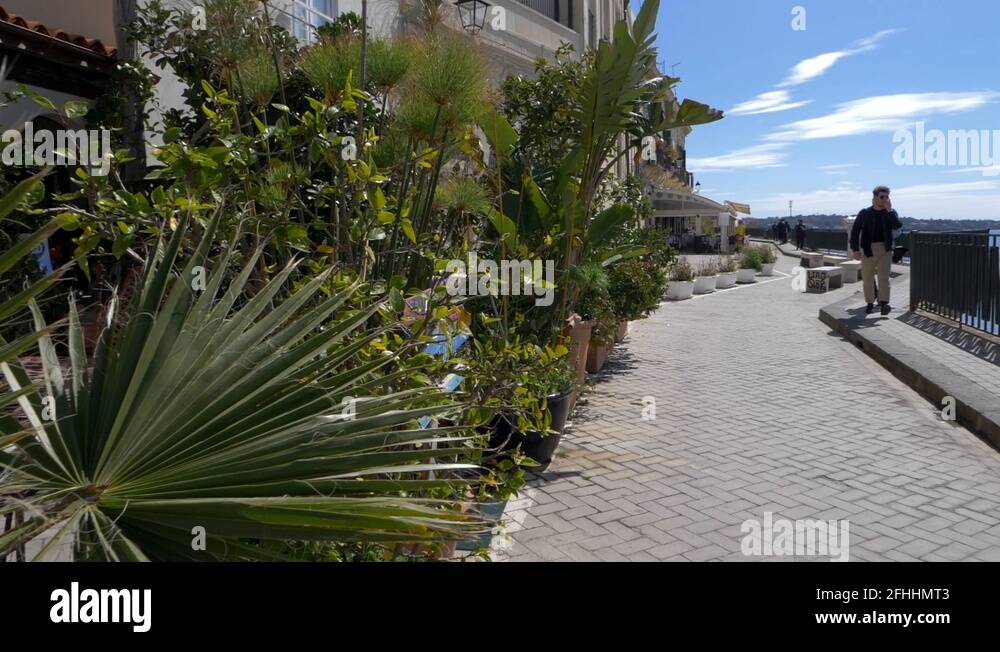 Sicily plants Stock Videos & Footage - HD and 4K Video Clips - Alamy