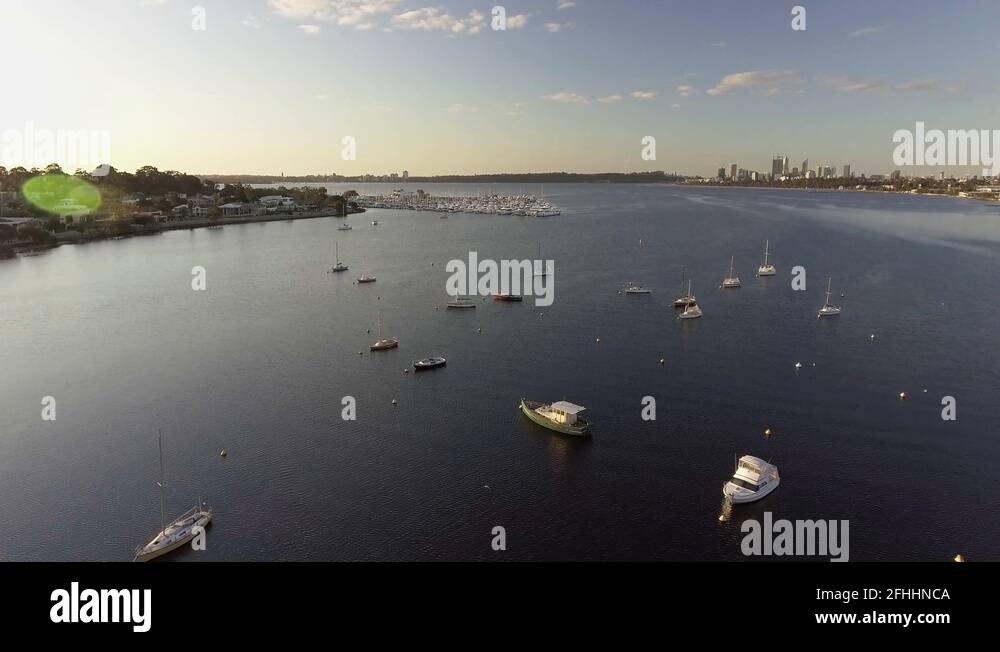 Perth swan river with swan Stock Videos & Footage - HD and 4K Video ...