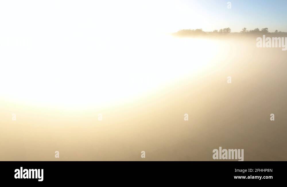 Grapefield Stock Videos & Footage - HD and 4K Video Clips - Alamy