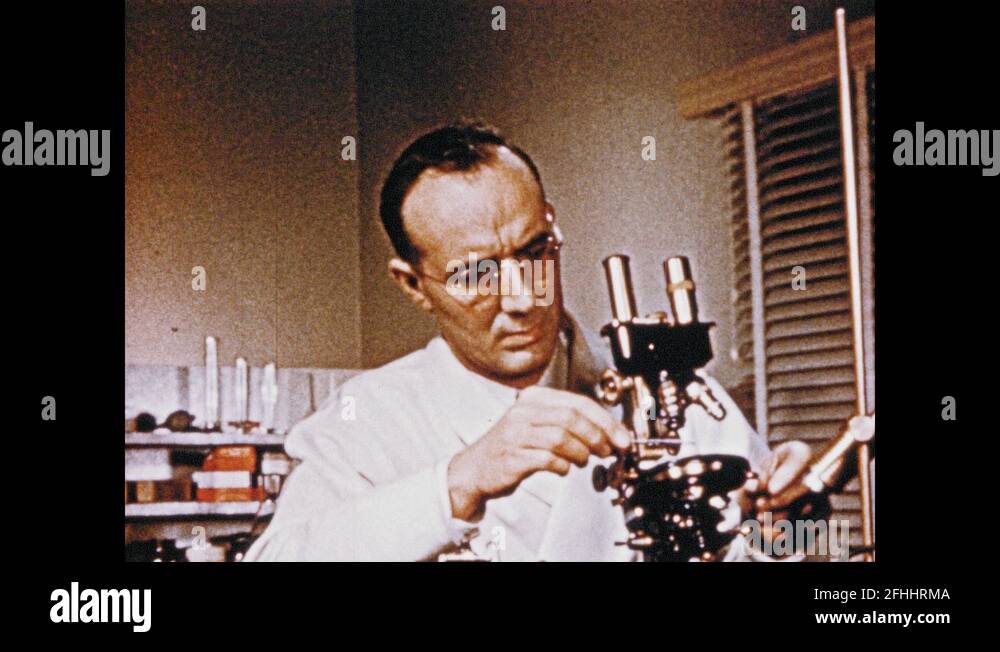 1950s Man Places Slide Under Microscope Looks Through Microscope Grain Of Stock Video Footage