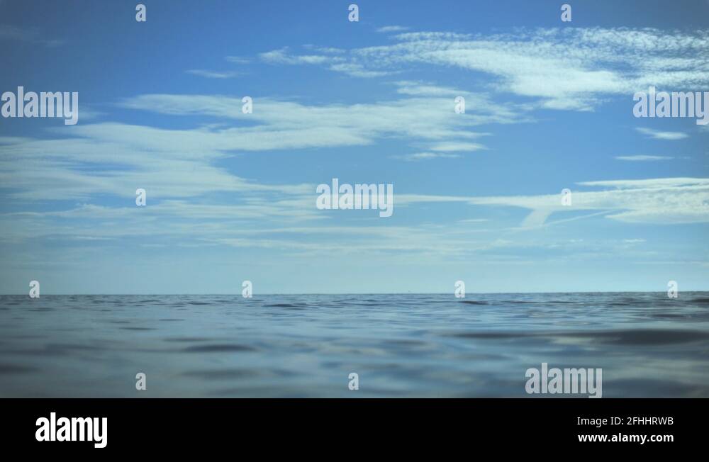 Inside the sea Stock Videos & Footage - HD and 4K Video Clips - Alamy