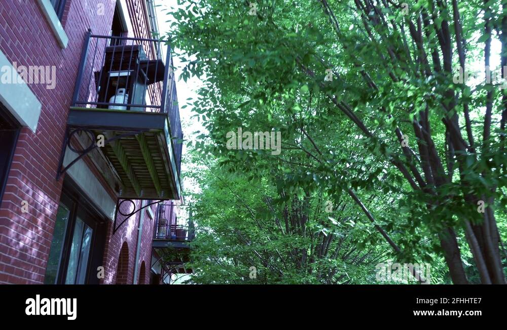 Trees veranda balcony Stock Videos & Footage - HD and 4K Video Clips ...