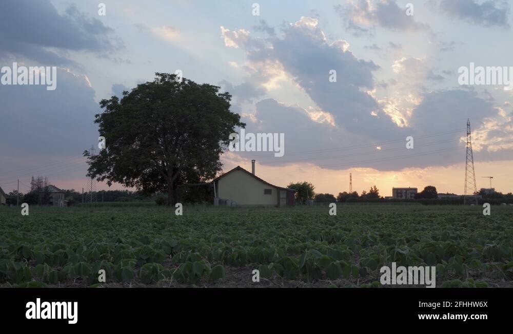 Isolated house Stock Videos & Footage - HD and 4K Video Clips - Alamy